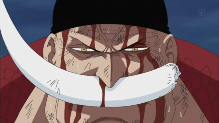One Piece et la légende d’Edward Newgate, alias Barbe Blanche - Anime ...